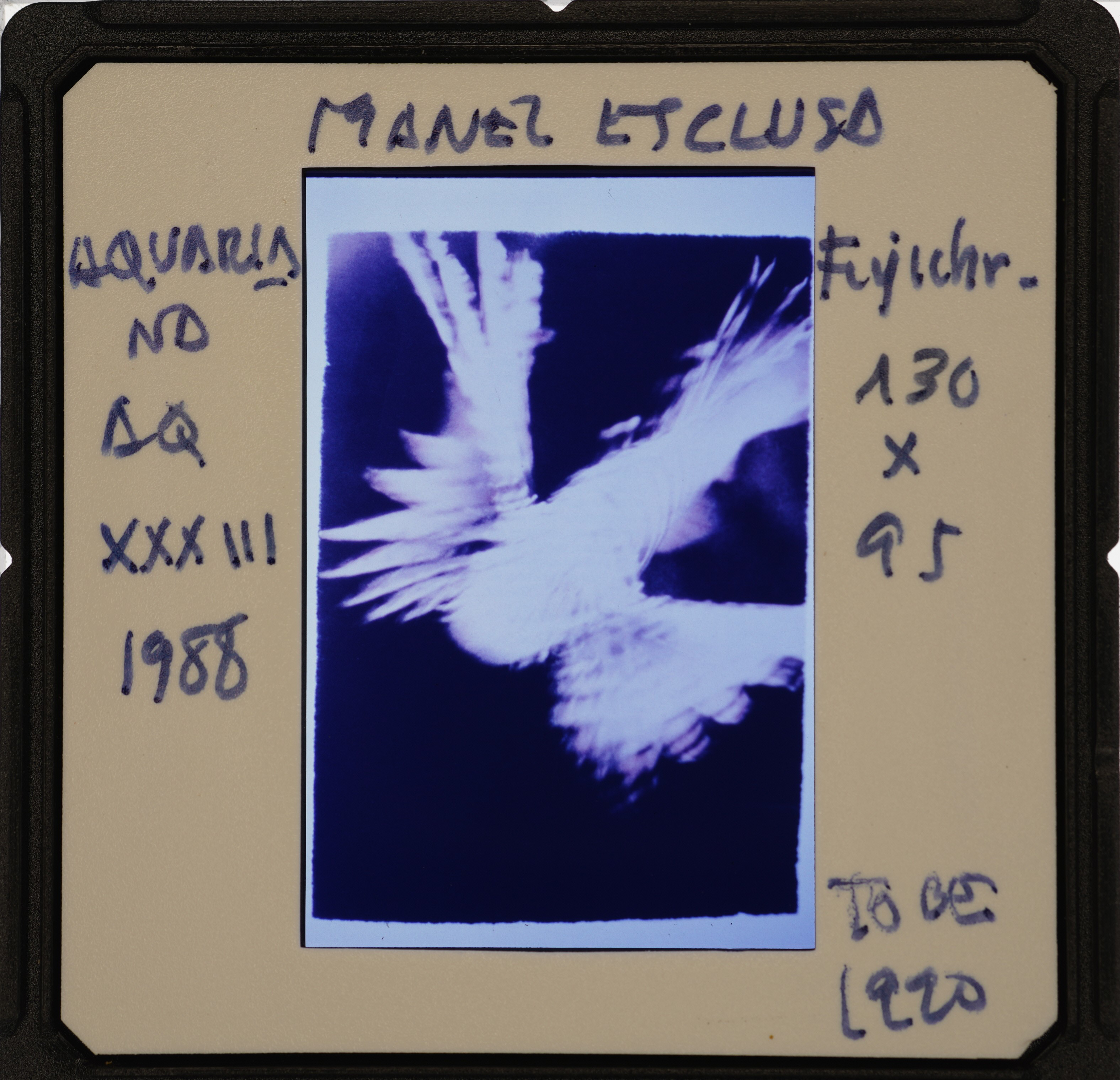 Esclusa, Manel. Aquarina Aq XXXIII. [To Be And Not To Be 1990 ...