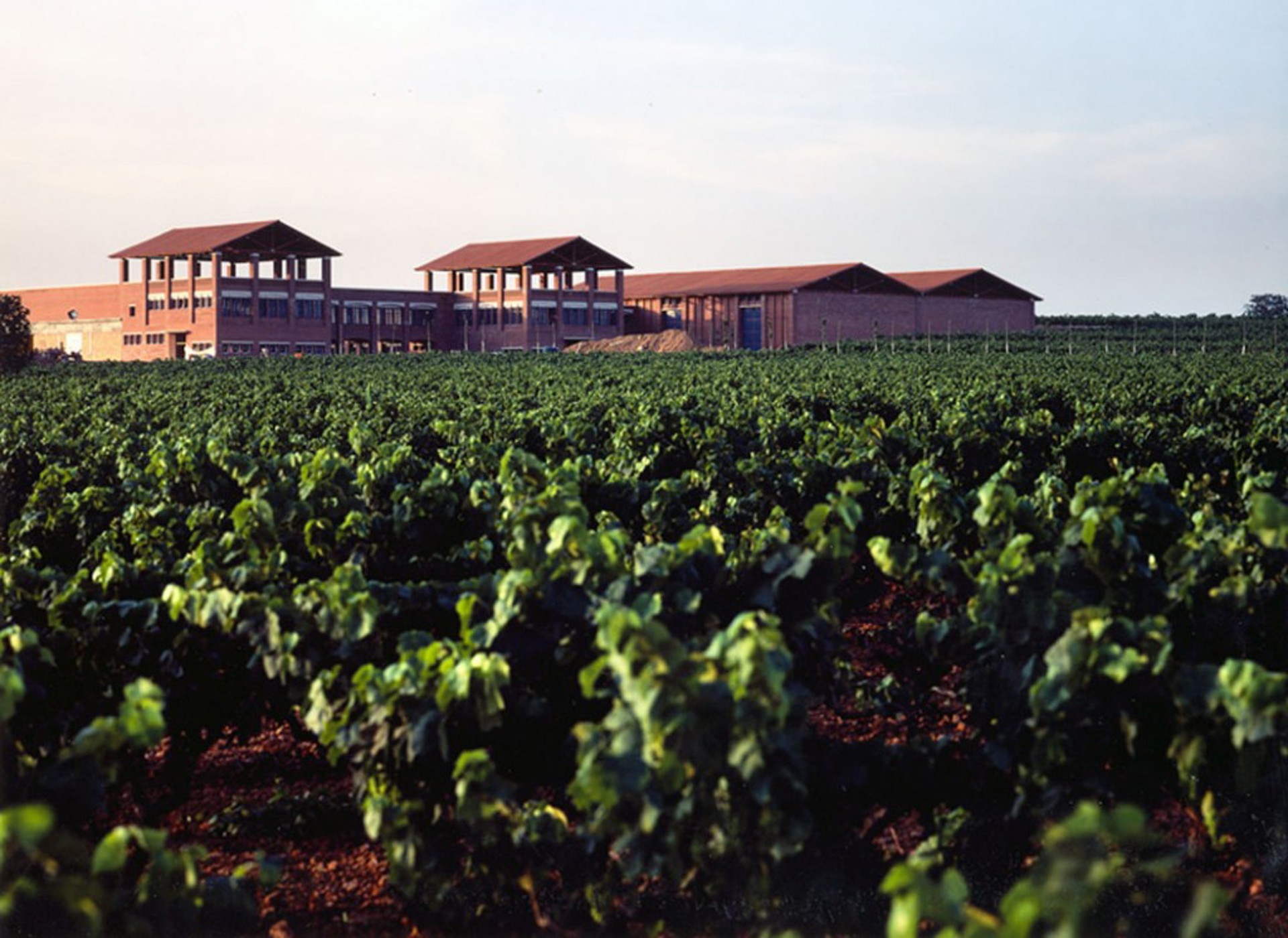 Cavas Chandon - La Casa de la Arquitectura