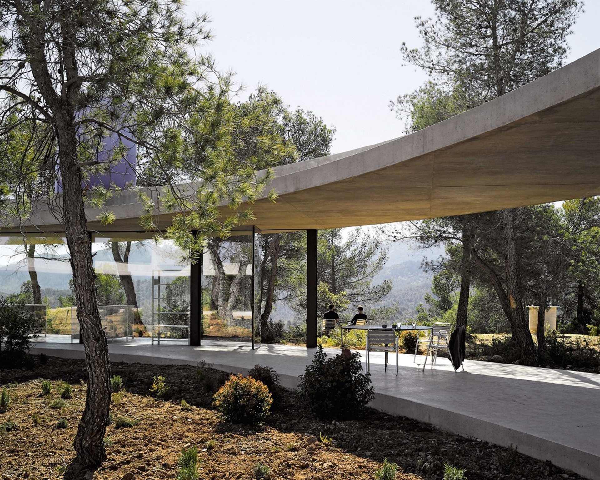 Solo House - La Casa de la Arquitectura