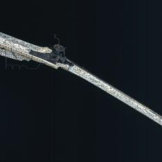 Arcabuz de rueda ""Jaeger"" - Museo de la Fundación Lázaro Galdiano