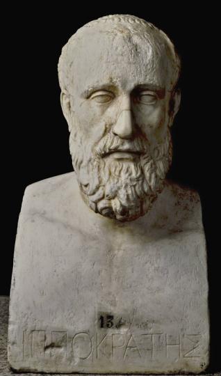 Retrato de un filósofo - Mis Museos