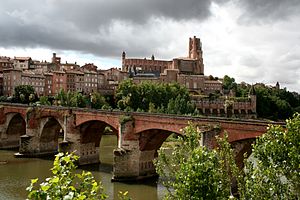 Albi (Italia) - Didactalia: material educativo
