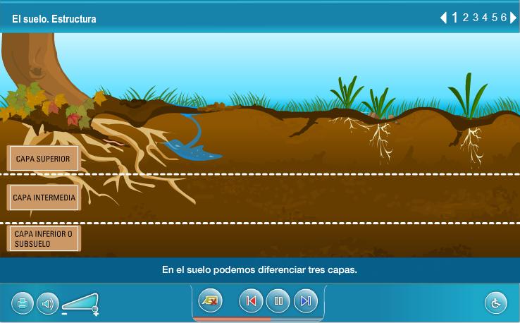 El suelo, las rocas y los minerales - Didactalia: material educativo