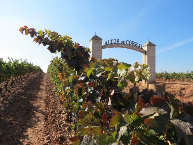 Bodegas Corral - Bodegas - La Rioja Turismo